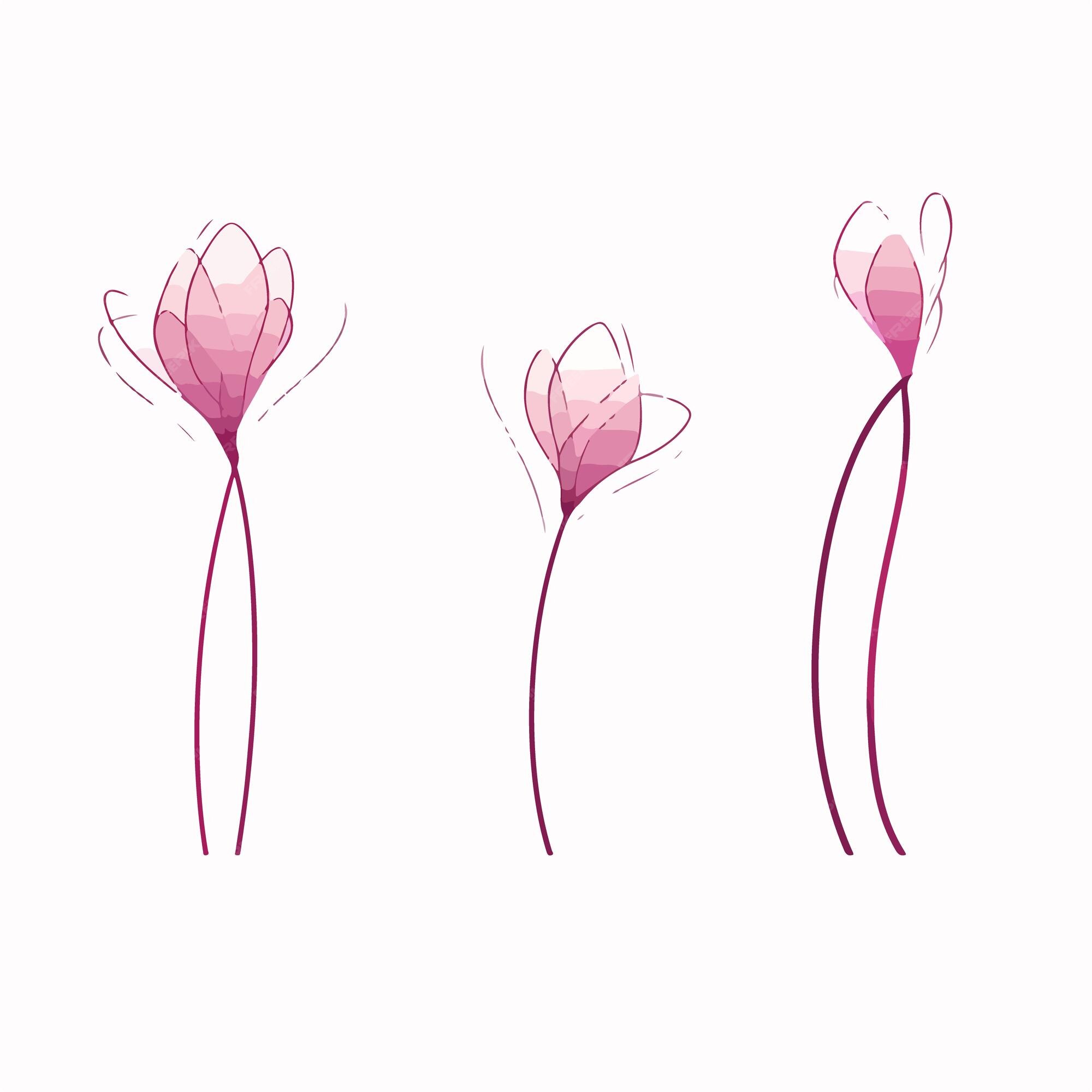 Premium Vector | Stylish vector illustration of a captivating cyclamen Premium Vector | Stylish vector illustration of a captivating cyclamen