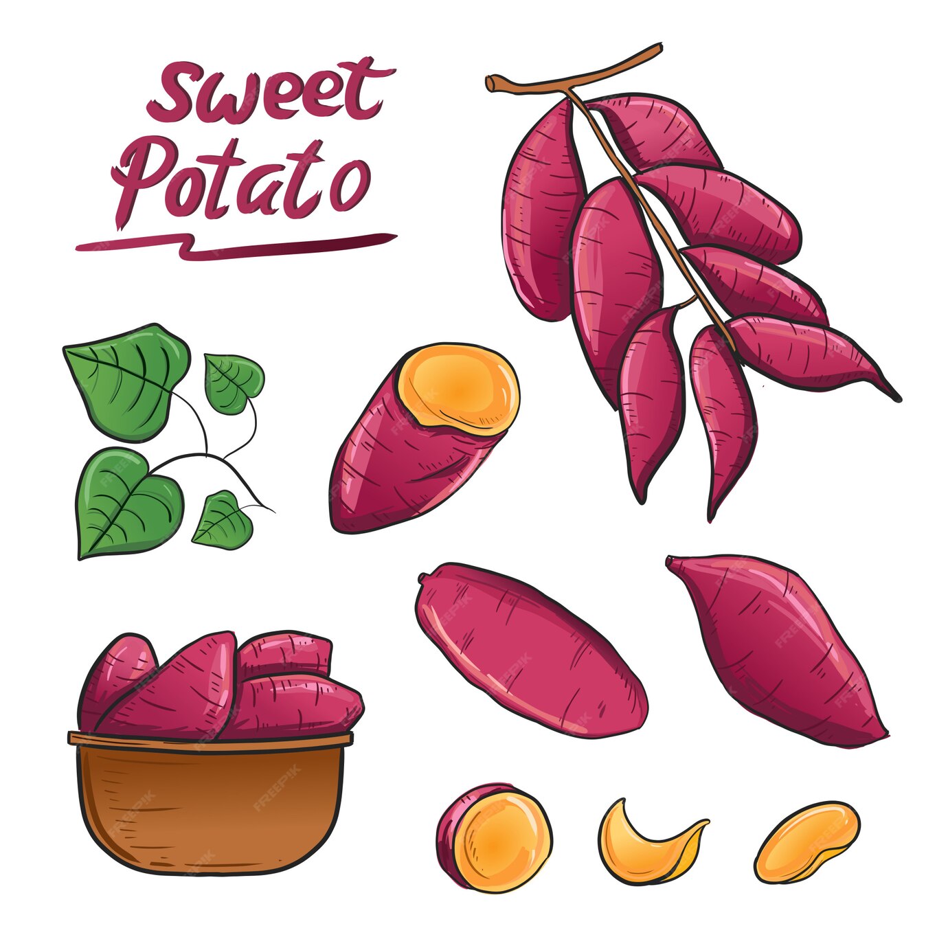 Premium Vector Sweet Potato Root Plant Illustration Vector In Basket