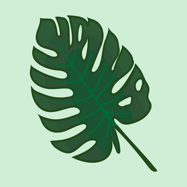 Premium Vector | Tropical leaf vector image Premium Vector | Tropical leaf vector image