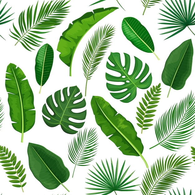 Premium Vector Tropical Leaves Seamless Pattern