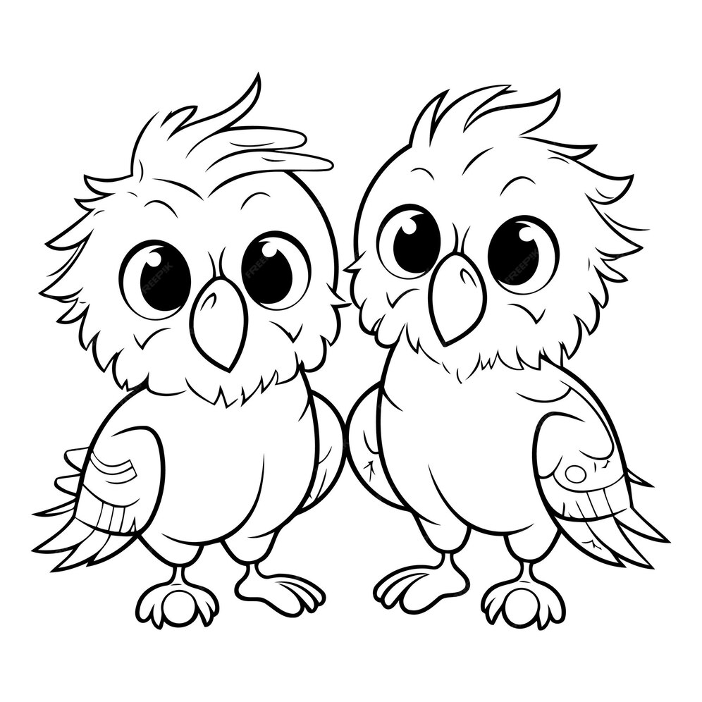 Premium Vector | Two cute cartoon owls on a white background Premium Vector | Two cute cartoon owls on a white background