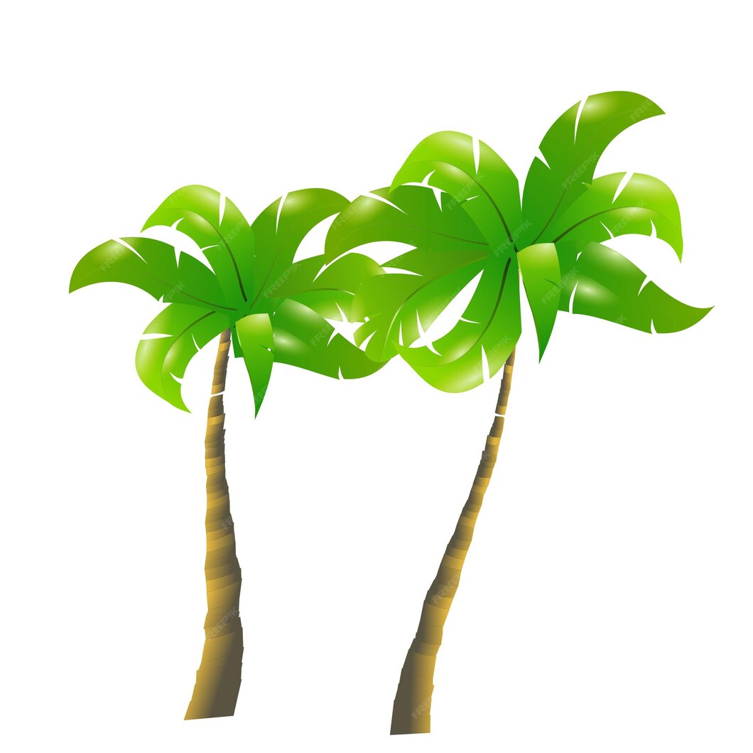 Premium Vector | Two palm trees with green leaves Premium Vector | Two palm trees with green leaves