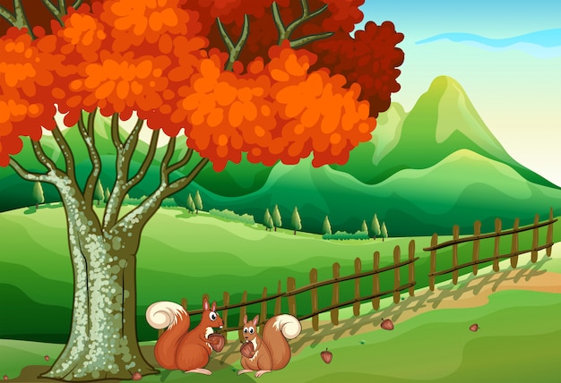 Premium Vector Two Squirrels Under The Big Tree