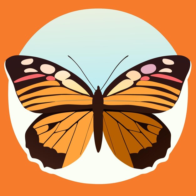 Premium Vector | Unlocking Educational Insights with Butterfly Diagrams ... Premium Vector | Unlocking Educational Insights with Butterfly Diagrams ...