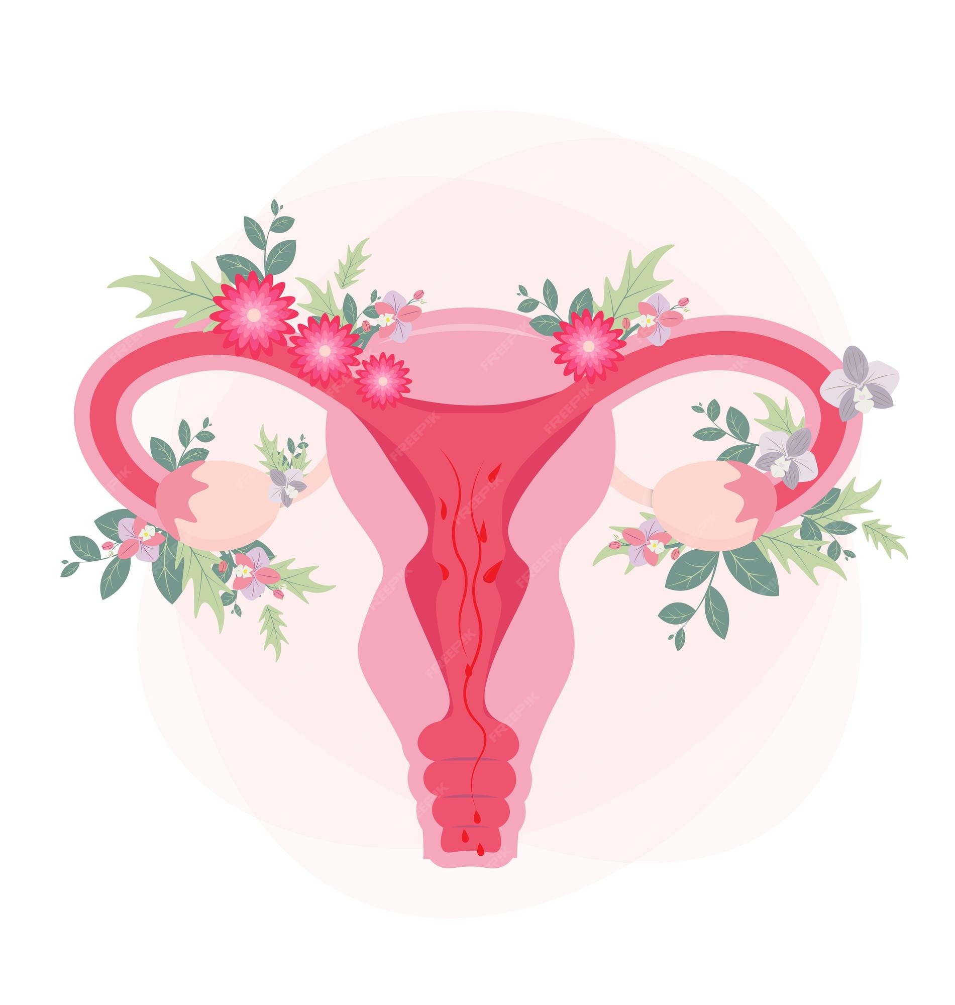 Premium Vector Uterus Organ With Flowers Female Nature The Concept