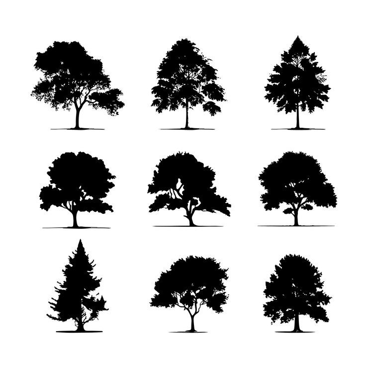 Premium Vector | Vector big trees and forest silhouettes variation set Premium Vector | Vector big trees and forest silhouettes variation set
