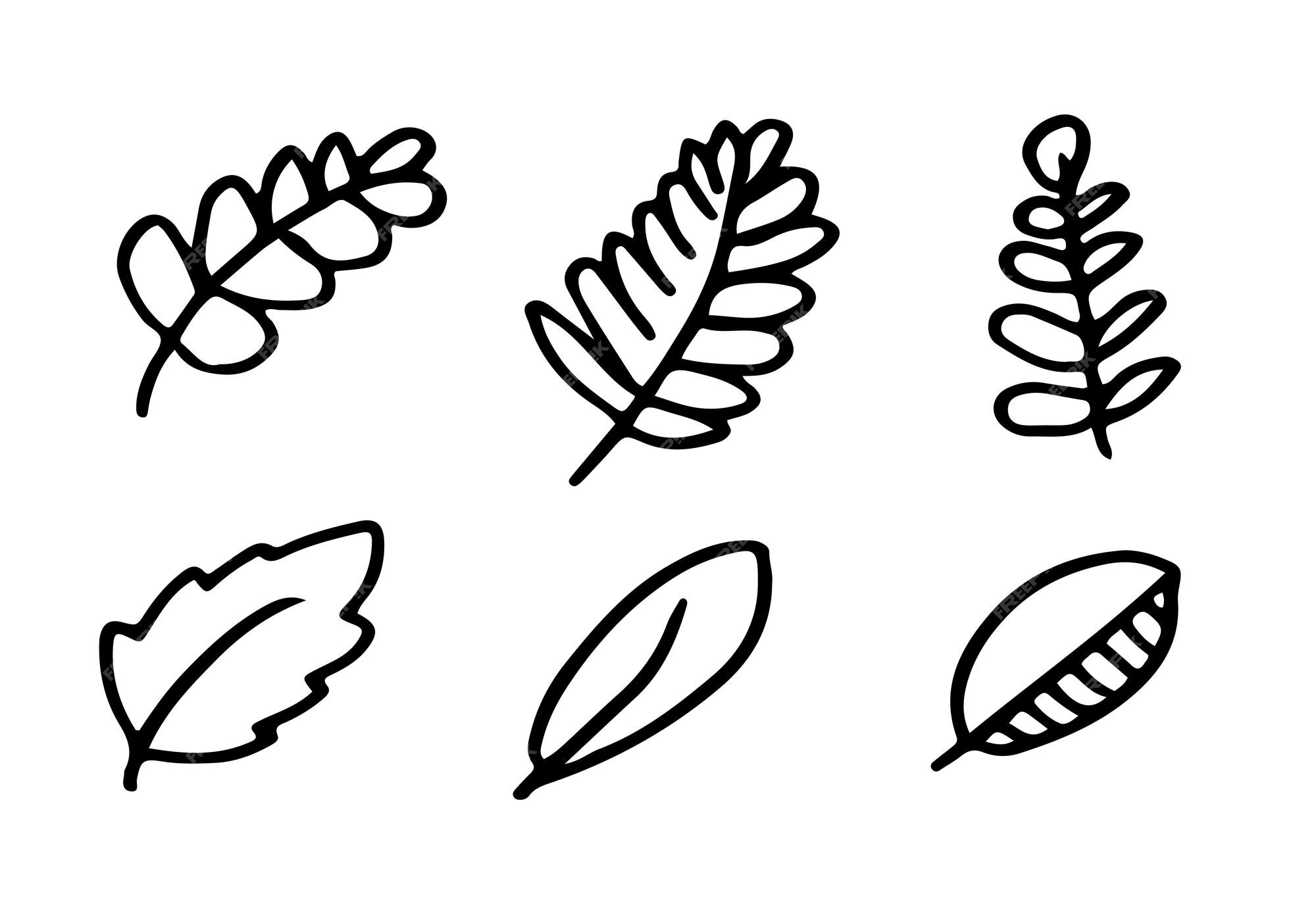 Premium Vector Vector Doodle Leaves Set On White Background