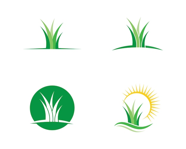 Premium Vector | Vector green grass illustration Premium Vector | Vector green grass illustration