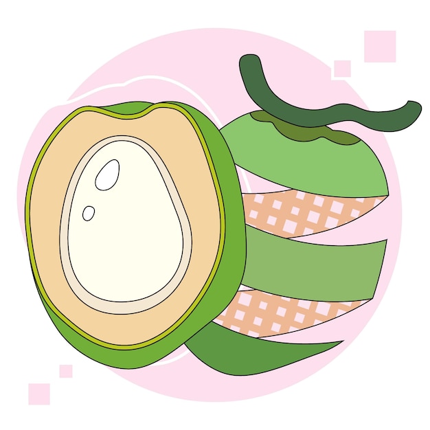 Premium Vector | Vector half cut fruit coconut Premium Vector | Vector half cut fruit coconut