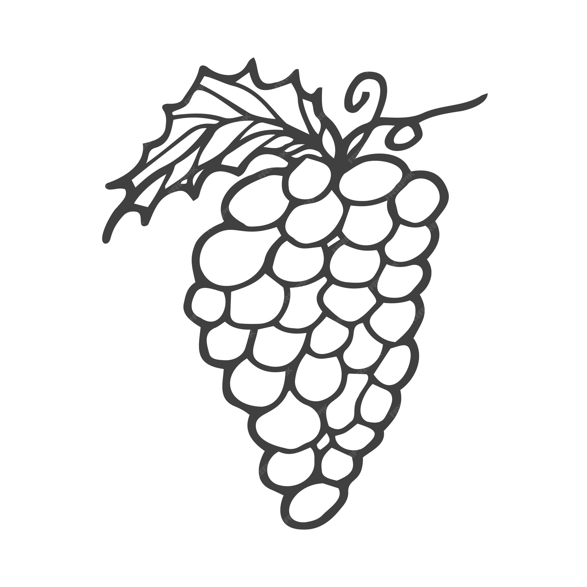 Premium Vector | Vector hand drawn bunch of grapes outline doodle icon ... Premium Vector | Vector hand drawn bunch of grapes outline doodle icon ...