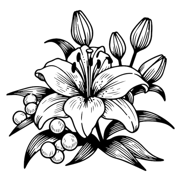 Premium Vector | Vector Lily of the Valley Flower drawing detailed Lily ... Premium Vector | Vector Lily of the Valley Flower drawing detailed Lily ...