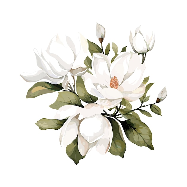 Premium Vector Vector Magnolia White Watercolor Flower Arrangement