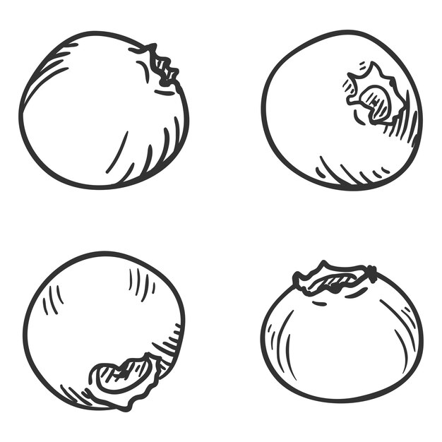 Premium Vector | Vector Set of Sketch Blueberry Premium Vector | Vector Set of Sketch Blueberry