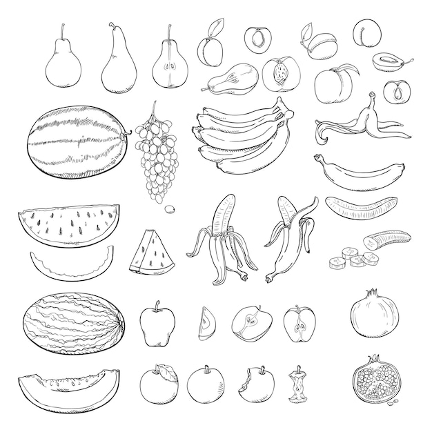 Premium Vector | Vector Set of Sketch Fruits Premium Vector | Vector Set of Sketch Fruits