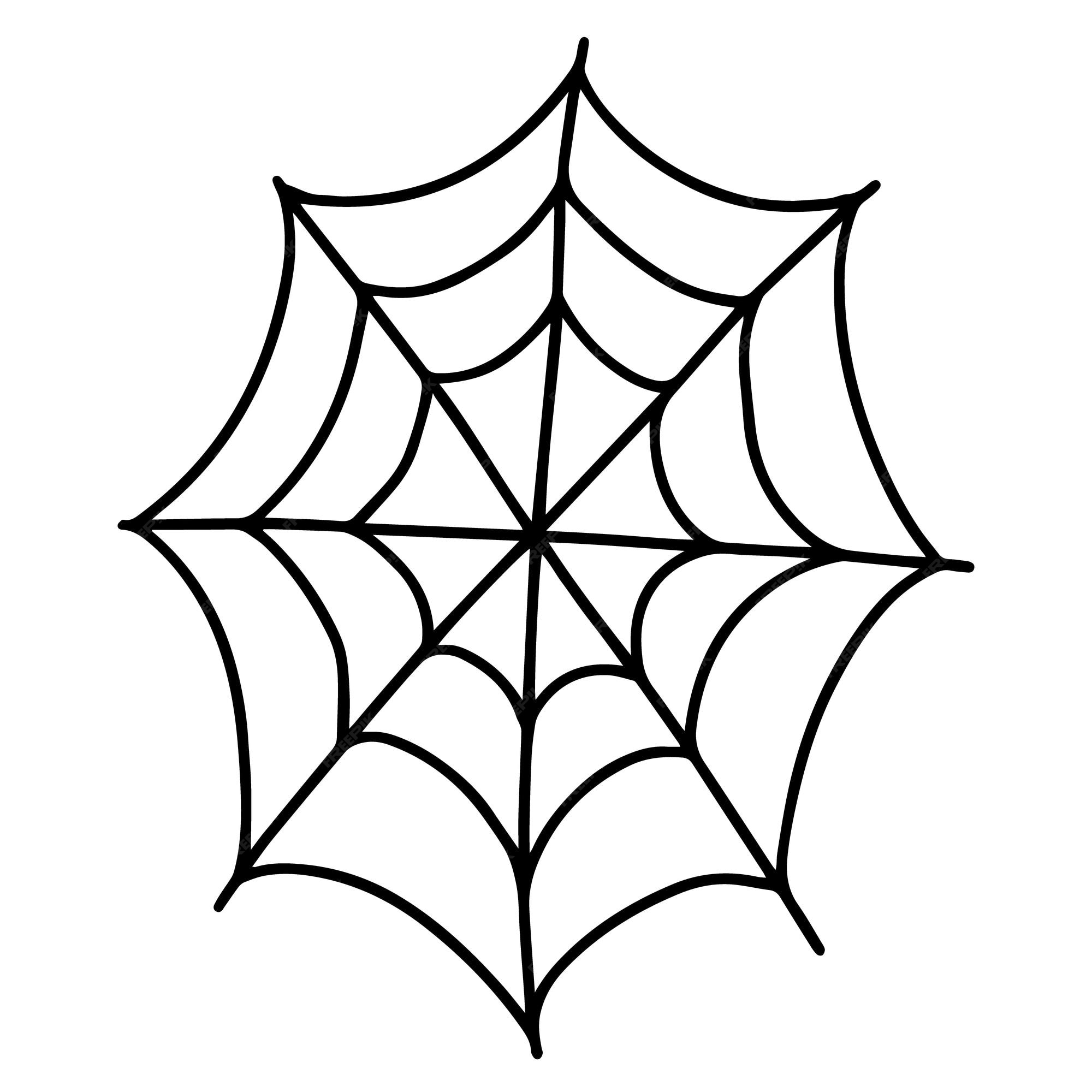 Premium Vector | Vector spider web doodle illustration hand drawn ... Premium Vector | Vector spider web doodle illustration hand drawn ...