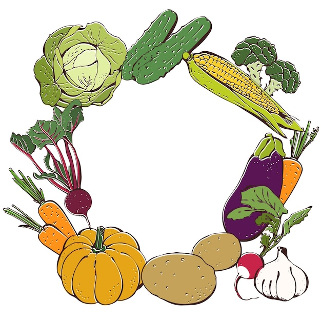 Premium Vector | Vegetables vector set hand drawn vegetable collection Premium Vector | Vegetables vector set hand drawn vegetable collection