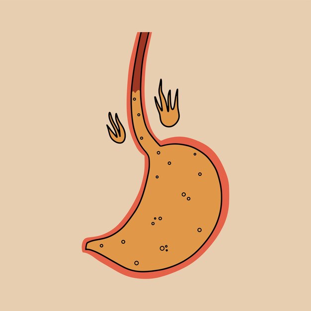 Gall Bladder Images - Free Download on Freepik Gall Bladder Images - Free Download on Freepik