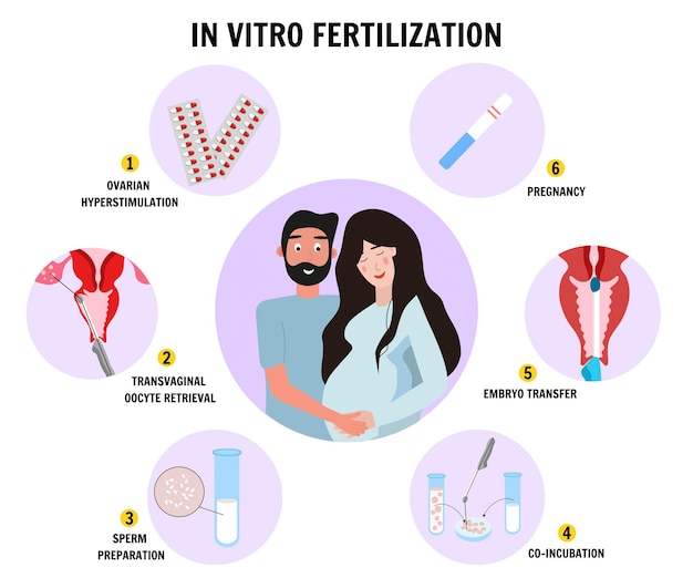 Premium Vector | In vitro fertilization cartoon concept in vector ... Premium Vector | In vitro fertilization cartoon concept in vector ...