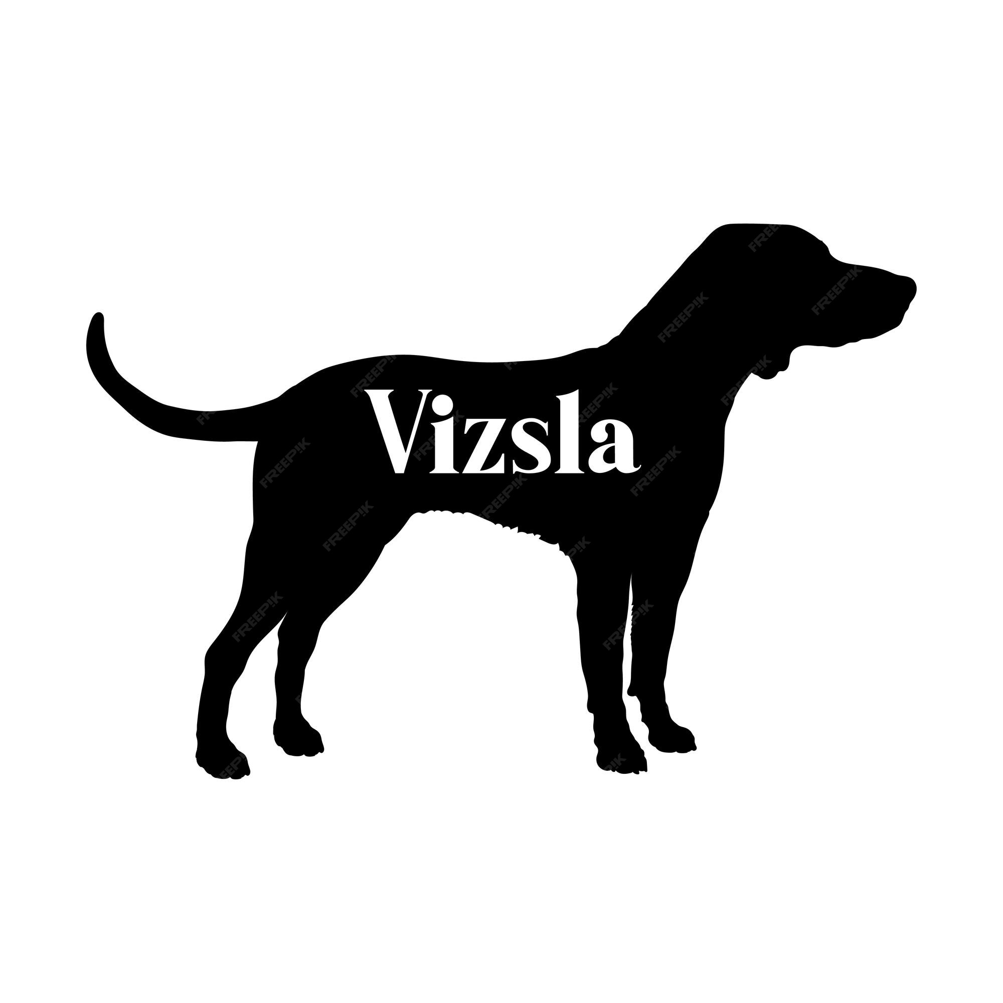 Premium Vector | Vizsla Dog silhouette dog breeds logo dog monogram vector Premium Vector | Vizsla Dog silhouette dog breeds logo dog monogram vector
