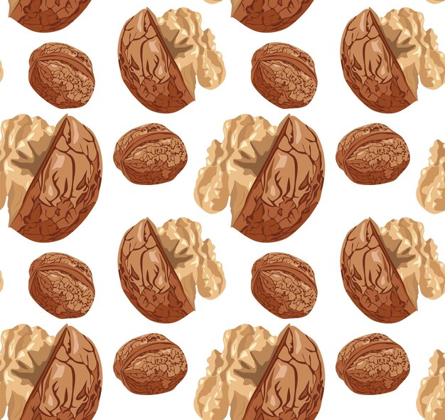 Premium Vector | Walnuts in shell and half shelled Premium Vector | Walnuts in shell and half shelled