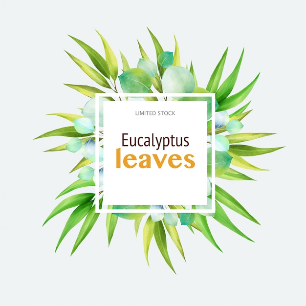 Premium Vector | Watercolor green floral card Premium Vector | Watercolor green floral card