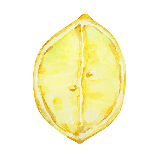 Premium Vector | Watercolor yellow juicy lemon slice Premium Vector | Watercolor yellow juicy lemon slice