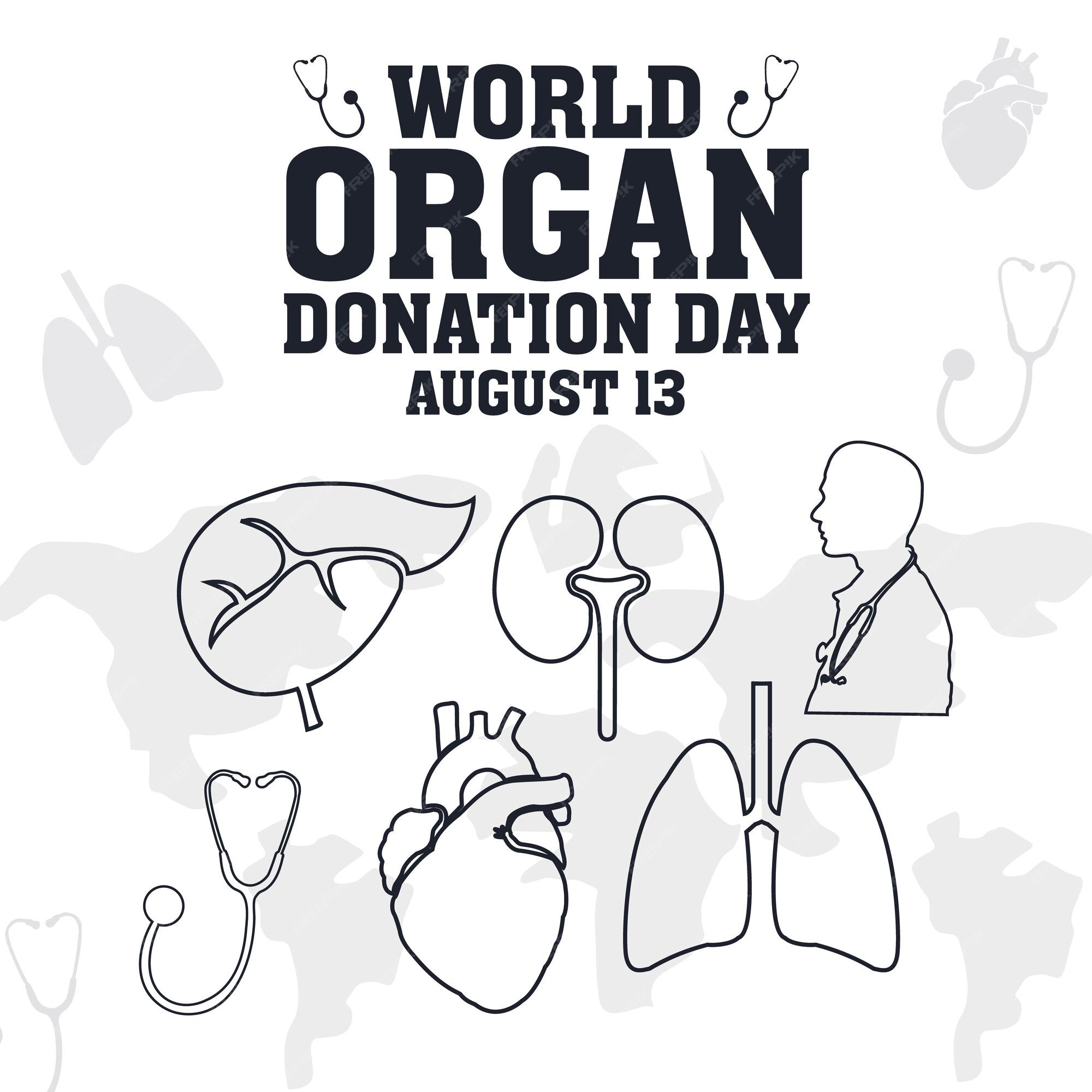Premium Vector World Organ Donation Day Background