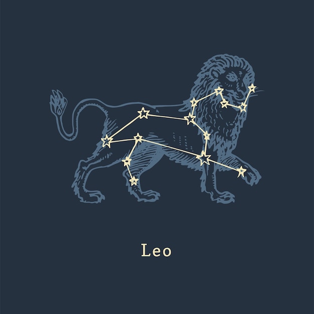 Premium Vector Scorpio Zodiac Symbol Hand Drawn In Engraving Style