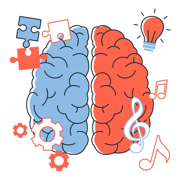 Illustration Du Concept Des Côtés Du Cerveau Vecteur Gratuite