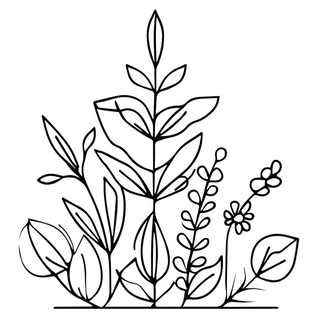 Dessins Botaniques De Fleurs Dessins Botaniques De Fleurs Sauvages ... Dessins Botaniques De Fleurs Dessins Botaniques De Fleurs Sauvages ...