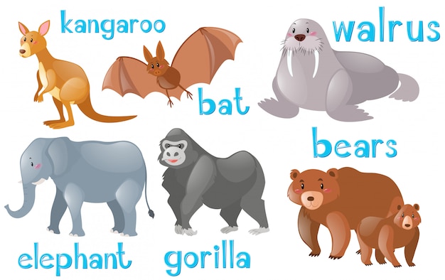 Différents Types D'animaux Sauvages | Vecteur Premium Différents Types D'animaux Sauvages | Vecteur Premium