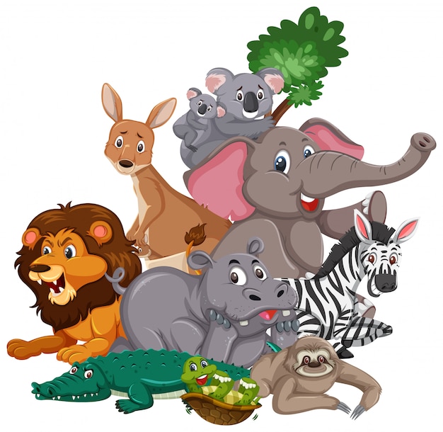 Différents Types D'animaux Sauvages | Vecteur Premium Différents Types D'animaux Sauvages | Vecteur Premium