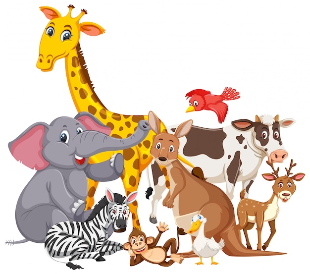 Différents Types D'animaux Sauvages | Vecteur Premium Différents Types D'animaux Sauvages | Vecteur Premium