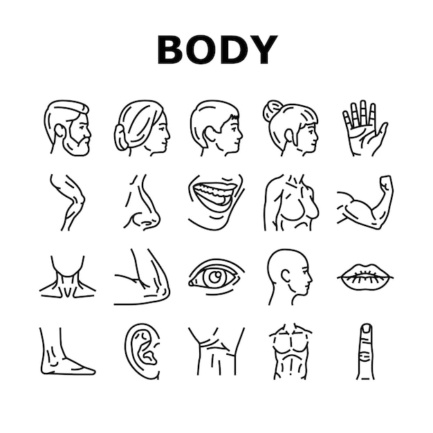 Ensemble D'icônes De Parties Du Corps Et Du Visage | Vecteur Premium Ensemble D'icônes De Parties Du Corps Et Du Visage | Vecteur Premium