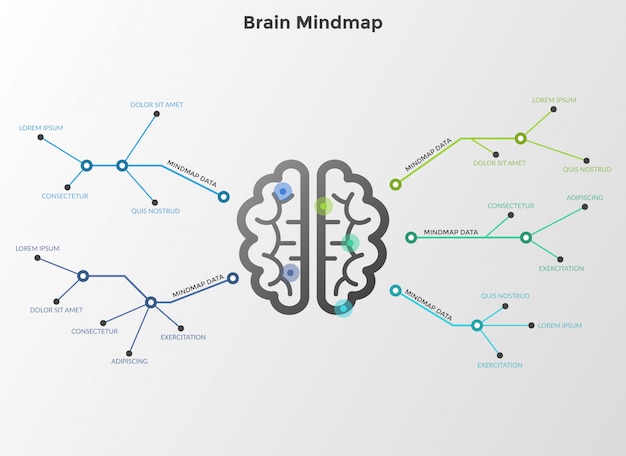 Organigramme Ou Diagramme De Flux De Travail Avec Le Cerveau Au Centre