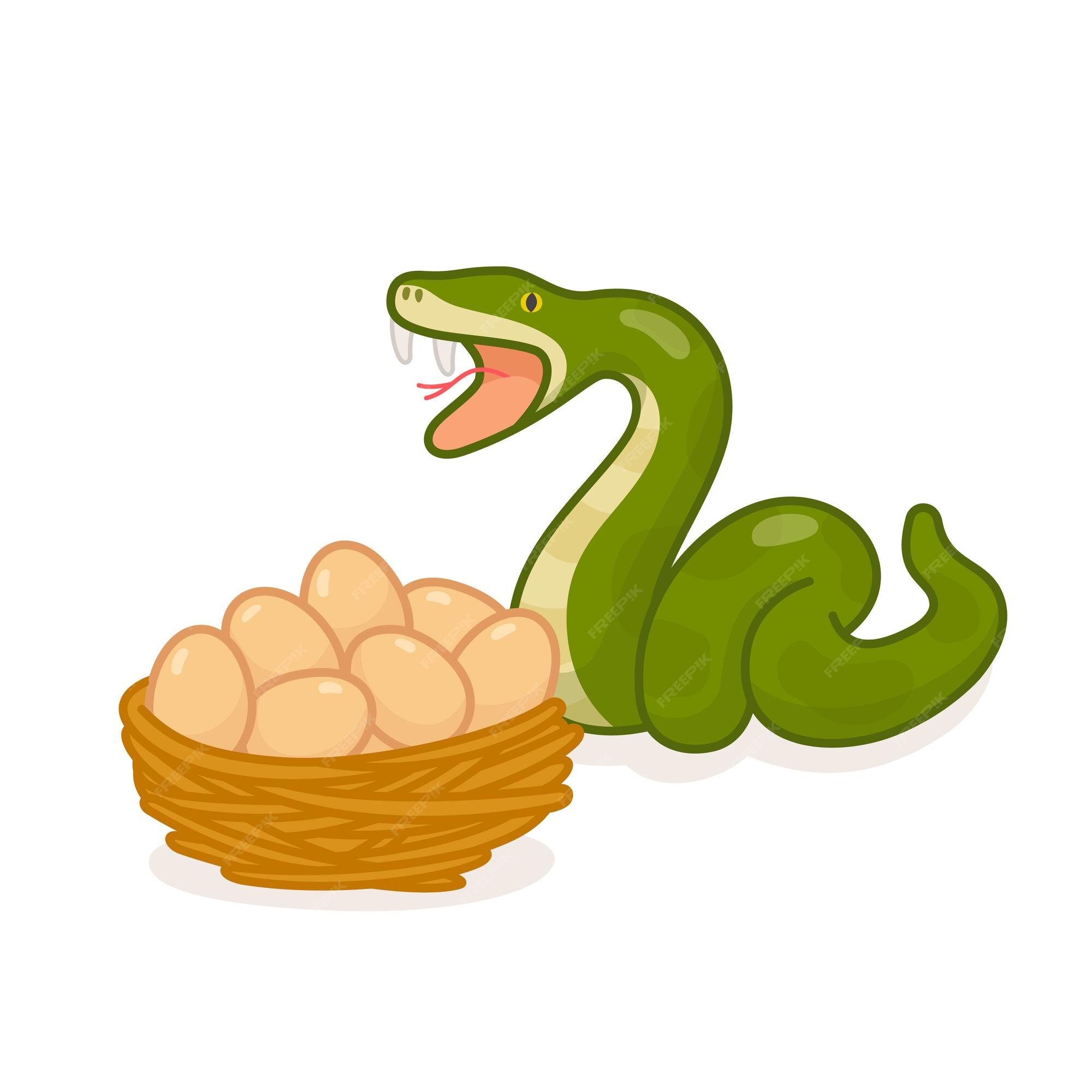 Serpent Manger Des Oeufs Dans Le Nid Kawaii Doodle Illustration Vectorielle De Dessin Animé Plat