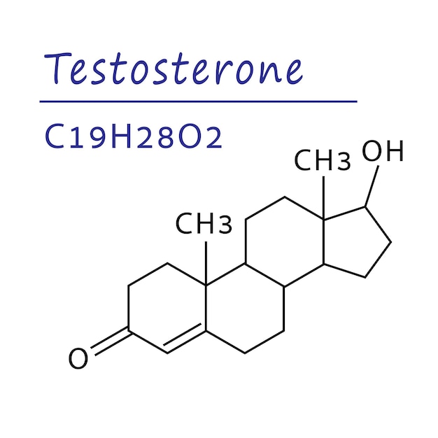 Structure Chimique De La Molécule De Testostérone Hormone Sexuelle