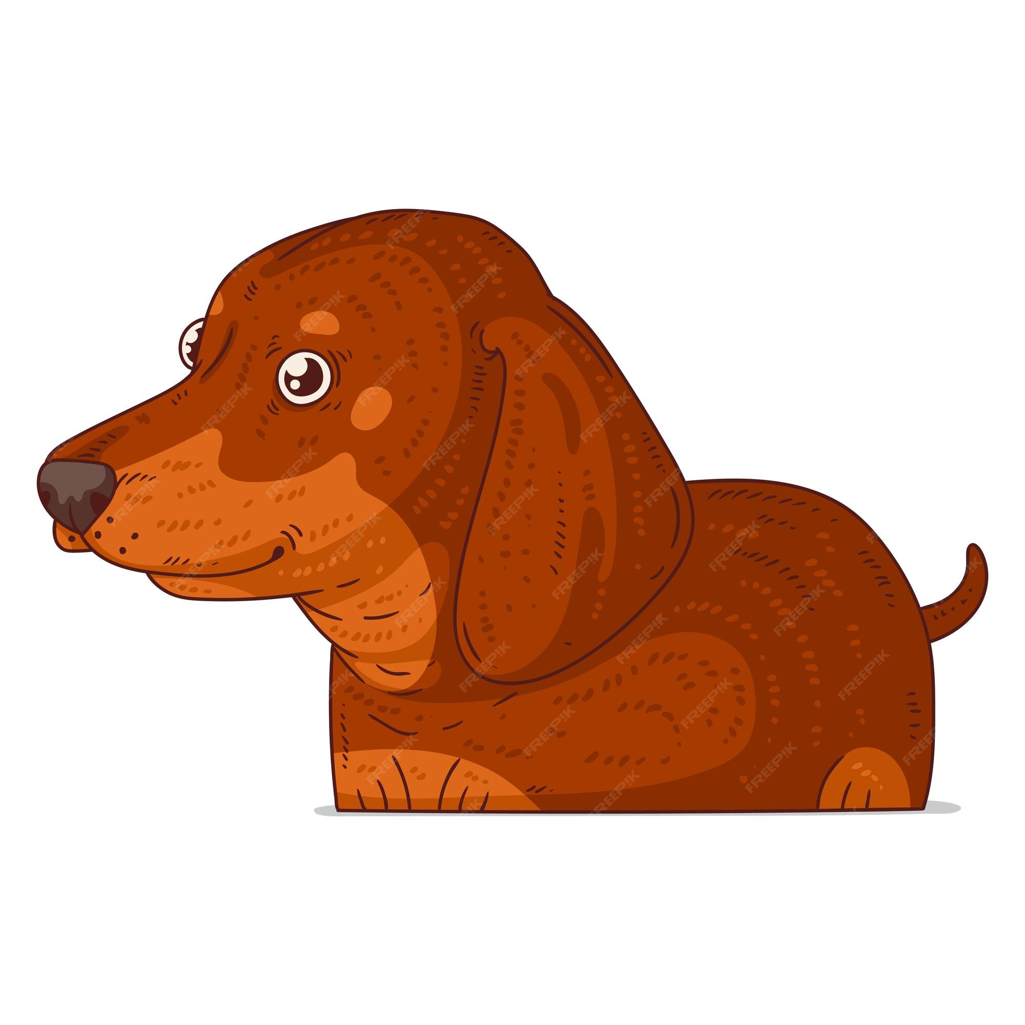 Un Teckel Isolé Illustration Vectorielle Image Drôle De Dessin Animé D ... Un Teckel Isolé Illustration Vectorielle Image Drôle De Dessin Animé D ...