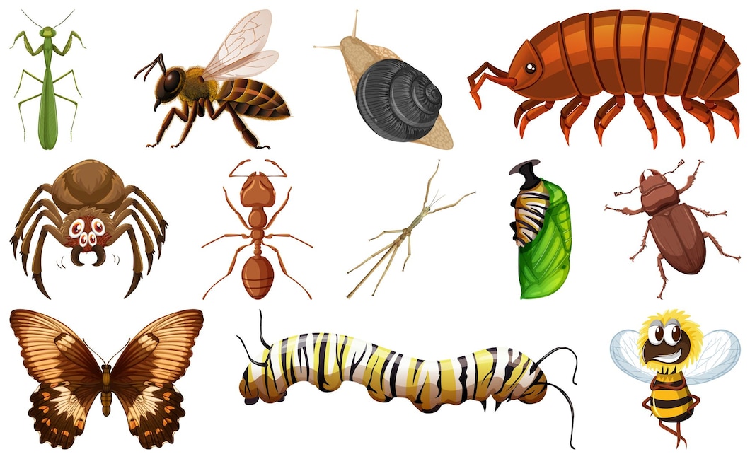 Colección de diferentes tipos de insectos. | Vector Gratis Colección de diferentes tipos de insectos. | Vector Gratis