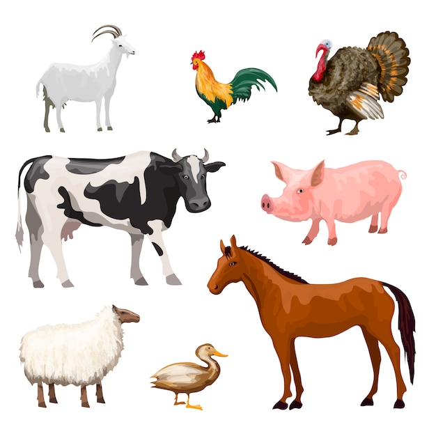 Conjunto de animales de granja | Vector Gratis Conjunto de animales de granja | Vector Gratis