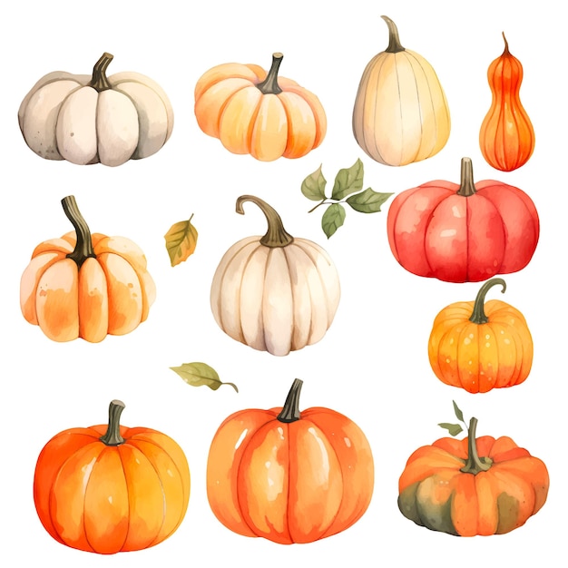Arte de calabaza acuarela | Vector Premium Arte de calabaza acuarela | Vector Premium