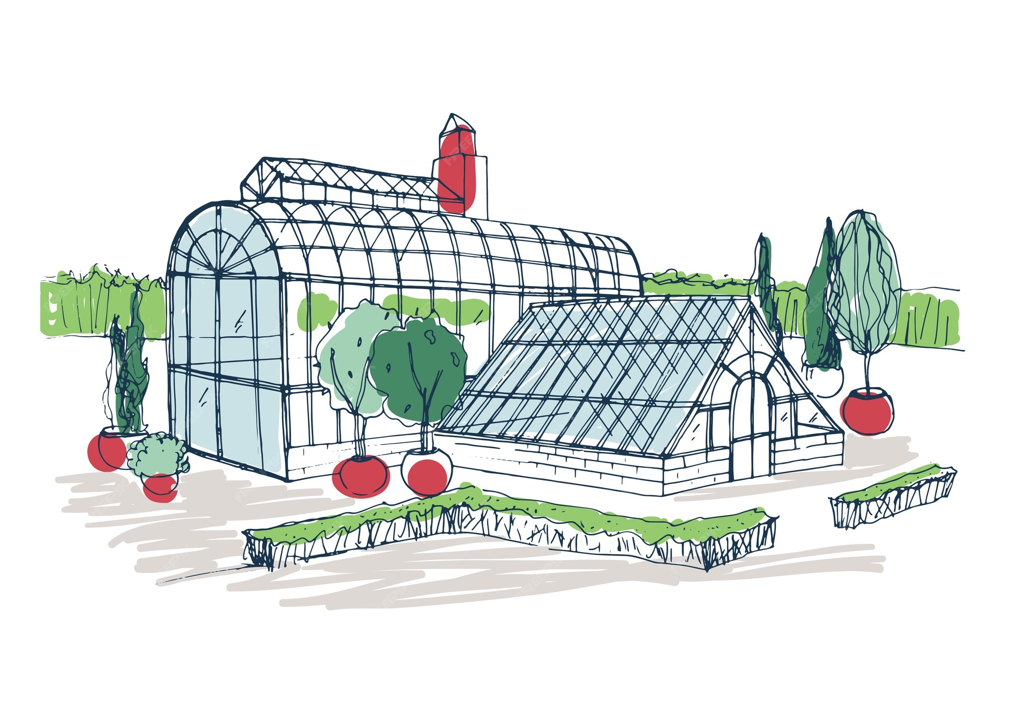 Dibujo A Mano Alzada Del Exterior Del Jardín Botánico Tropical Rodeado De Arbustos Y árboles Que