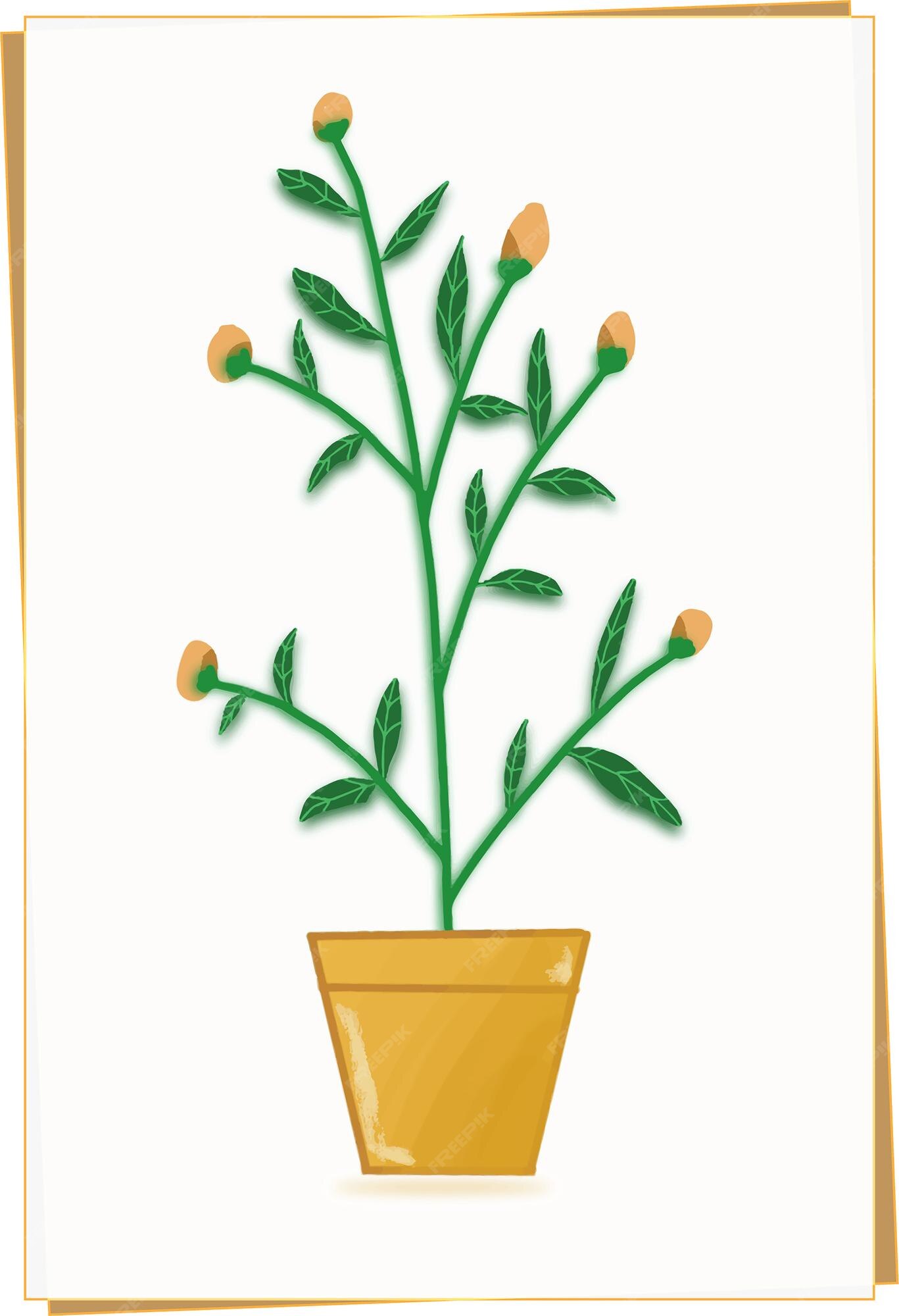 Maceta de diseño | Vector Premium Maceta de diseño | Vector Premium
