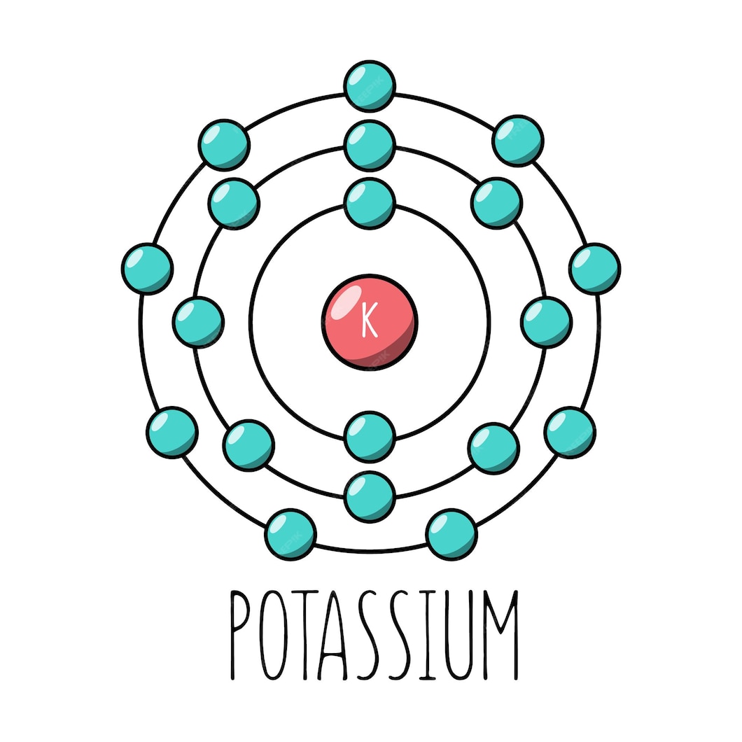 Modelo de bohr del átomo de potasio | Vector Premium Modelo de bohr del átomo de potasio | Vector Premium