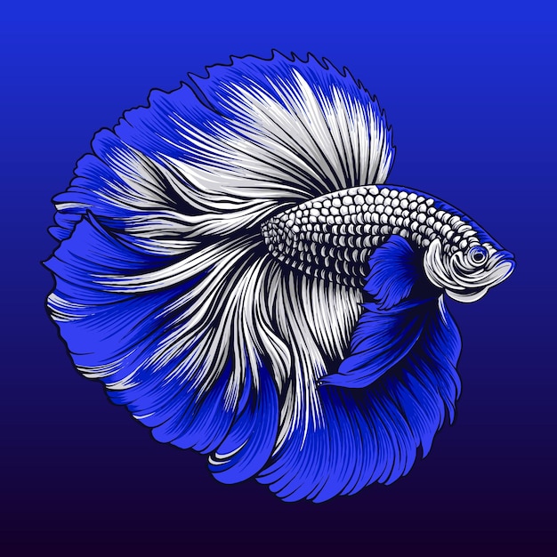 Vector de borde azul mitad de luna betta pez en el diseño de ... Vector de borde azul mitad de luna betta pez en el diseño de ...
