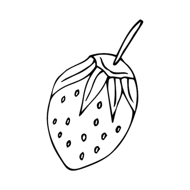 Vector De Libro Para Colorear De Fresa Arte Lineal De Healthy Berry