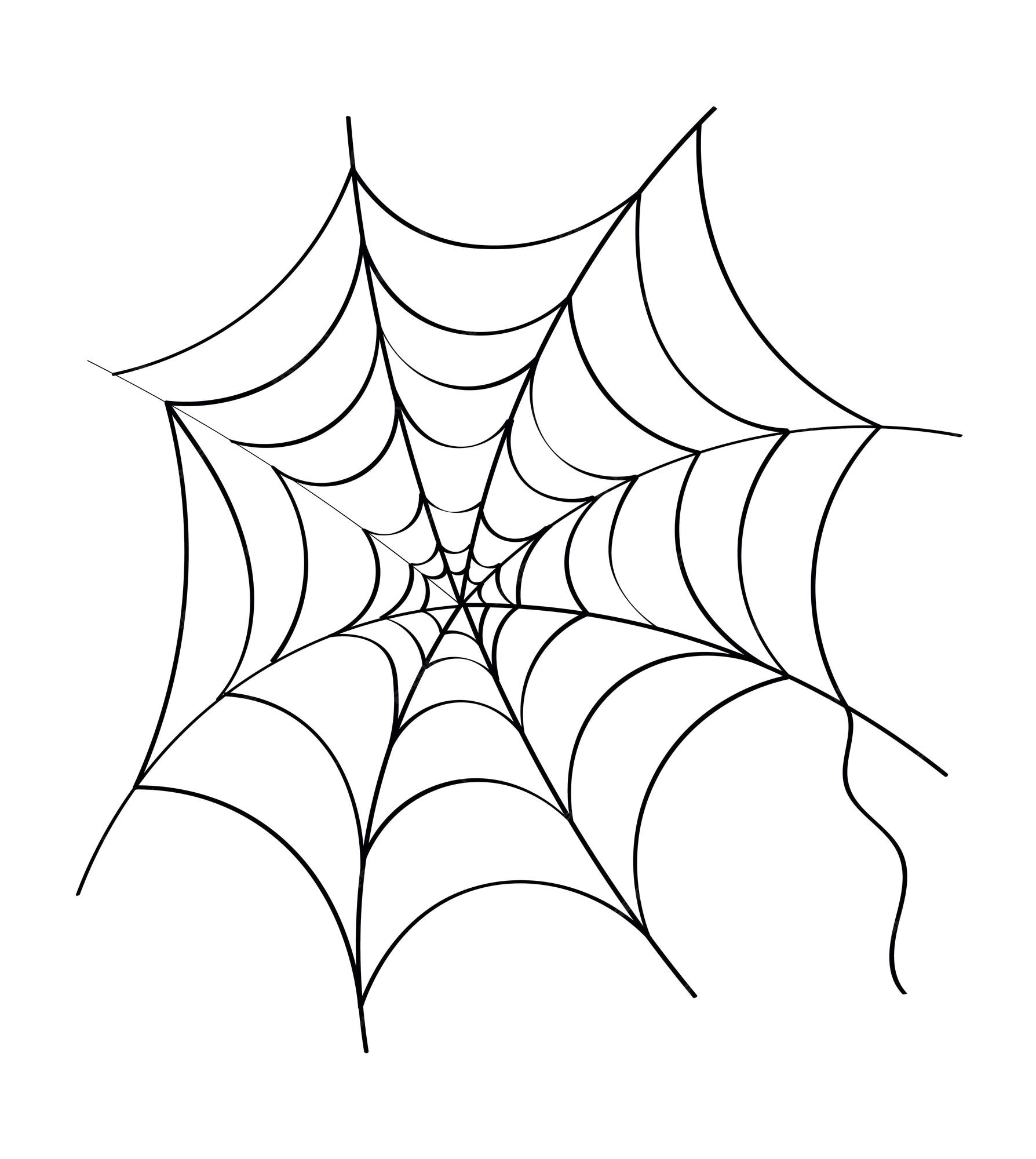 Spinnennetz. Spinnennetz auf weißem Hintergrund. Vektor-Illustration ... Spinnennetz. Spinnennetz auf weißem Hintergrund. Vektor-Illustration ...