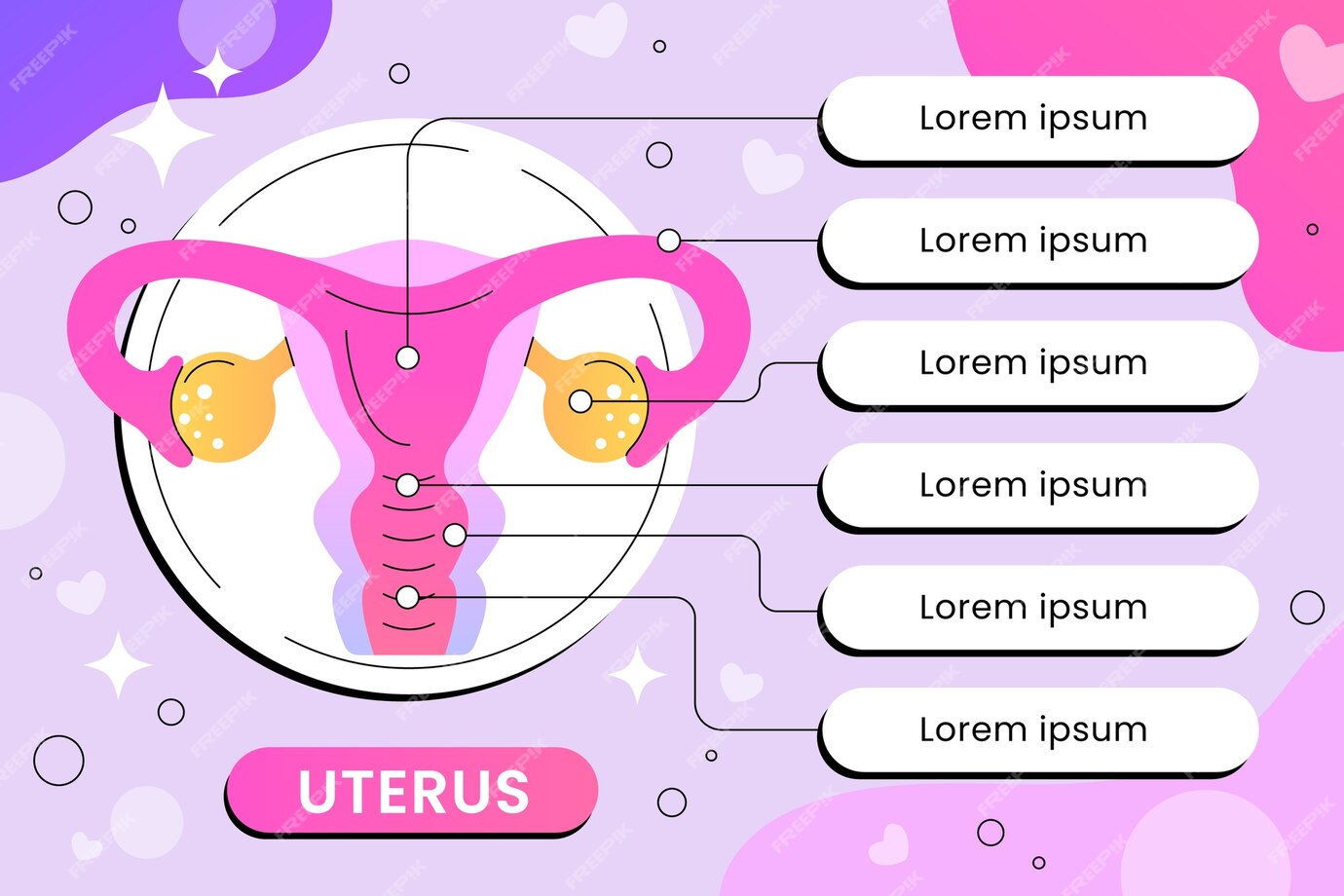 Projeto Infográfico De Educação Sexual Vetor Grátis