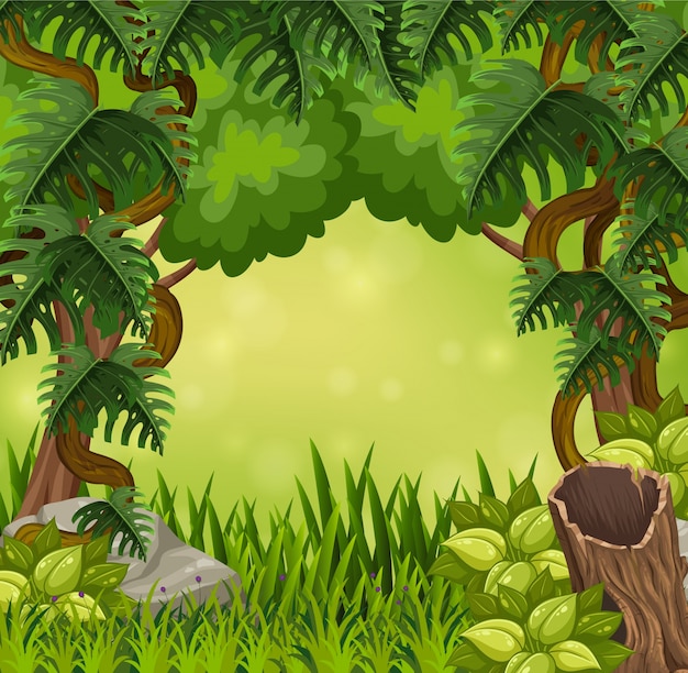 Cena de fundo com árvores na floresta | Vetor Premium Cena de fundo com árvores na floresta | Vetor Premium
