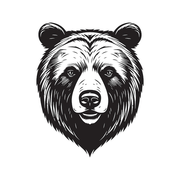 Conceito de vetor de cabeça de urso ilustração desenhada à mão de arte ... Conceito de vetor de cabeça de urso ilustração desenhada à mão de arte ...